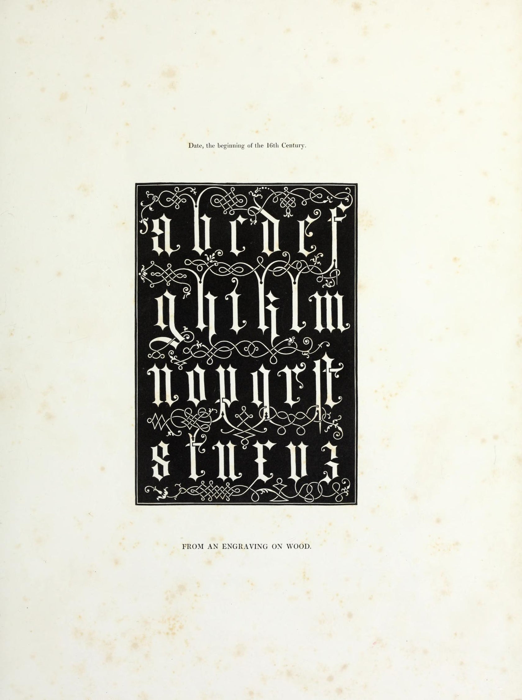 A Journey Through Medieval Typography: Discover Alphabets, Numerals ...